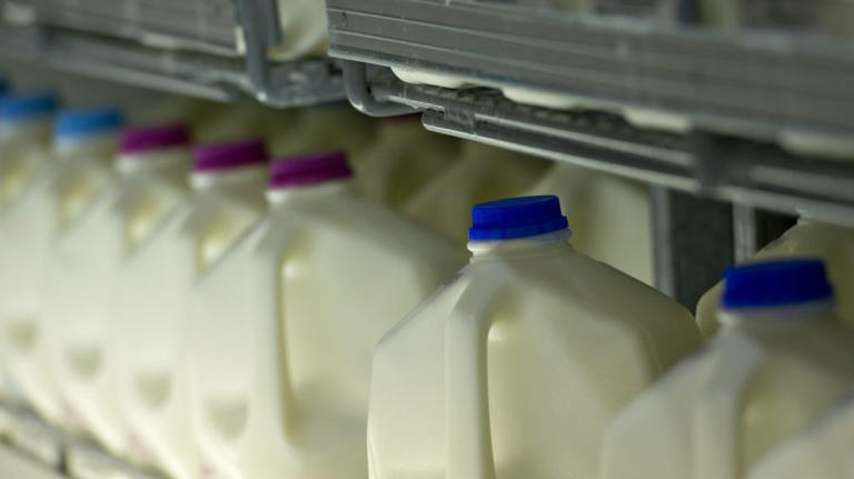 Milk sold in Illinois and Wisconsin recalled over ‘cleaning agents’
