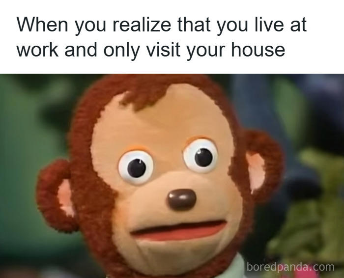 50 Funny Posts That Show Humanity Shares One Collective Brain Cell