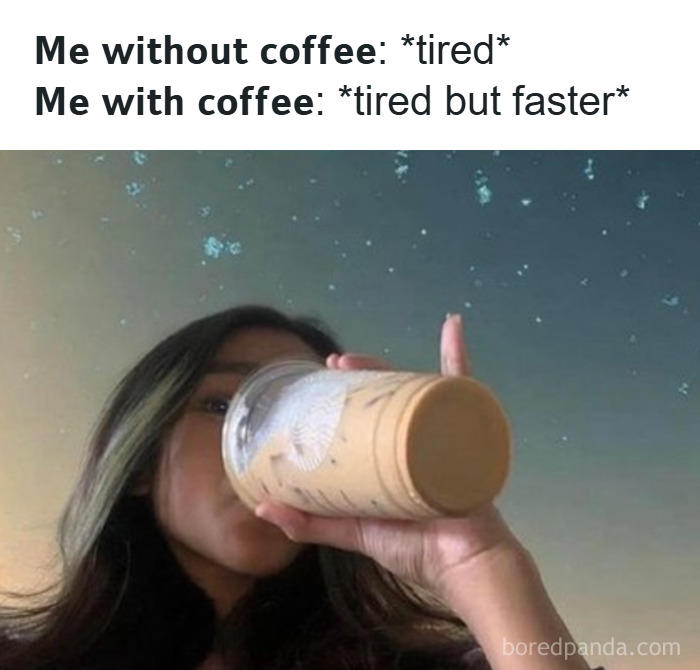 50 Funny Posts That Show Humanity Shares One Collective Brain Cell