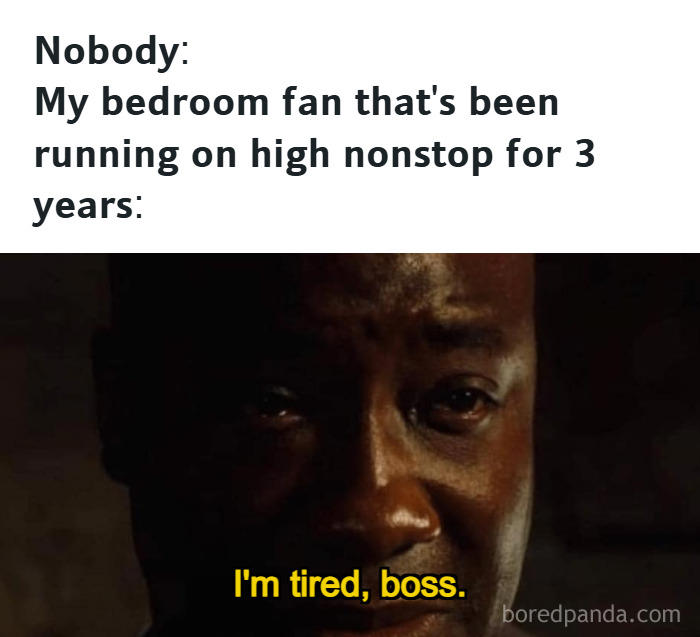 50 Funny Posts That Show Humanity Shares One Collective Brain Cell