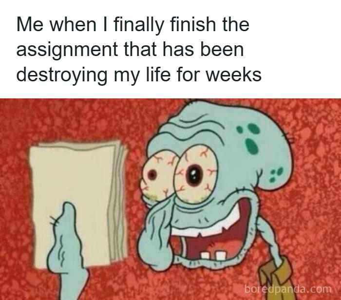 50 Funny Posts That Show Humanity Shares One Collective Brain Cell