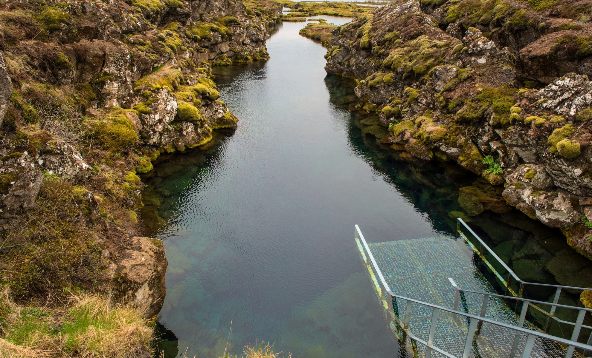 This Is the Only Place on Earth Where You Can Swim Between Two Tectonic ...