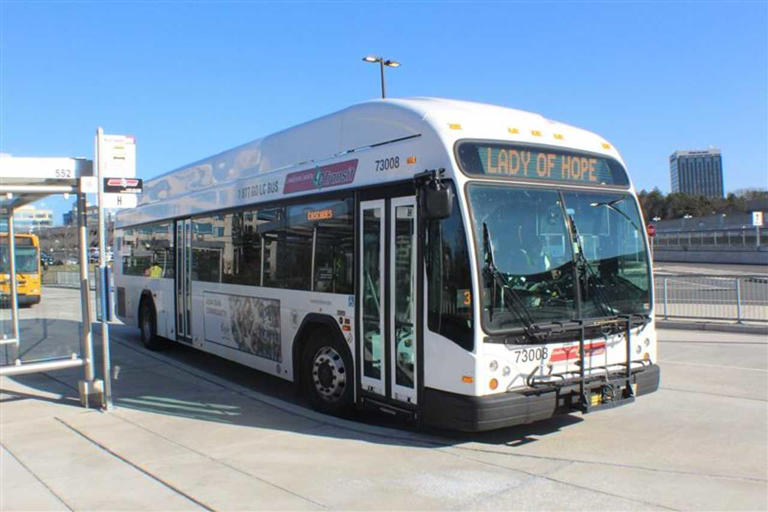 Feseha Glmariam Ambaye Charged For Fatal Transit Bus Crash