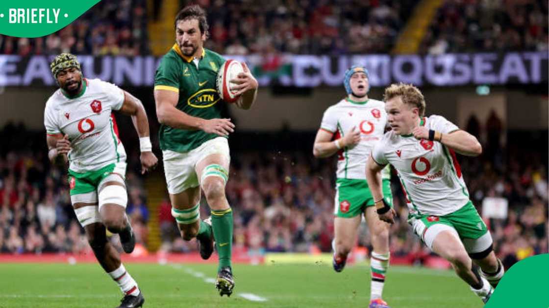 Tony Yengeni’s support sparks more debate as Etzebeth red card splits SA