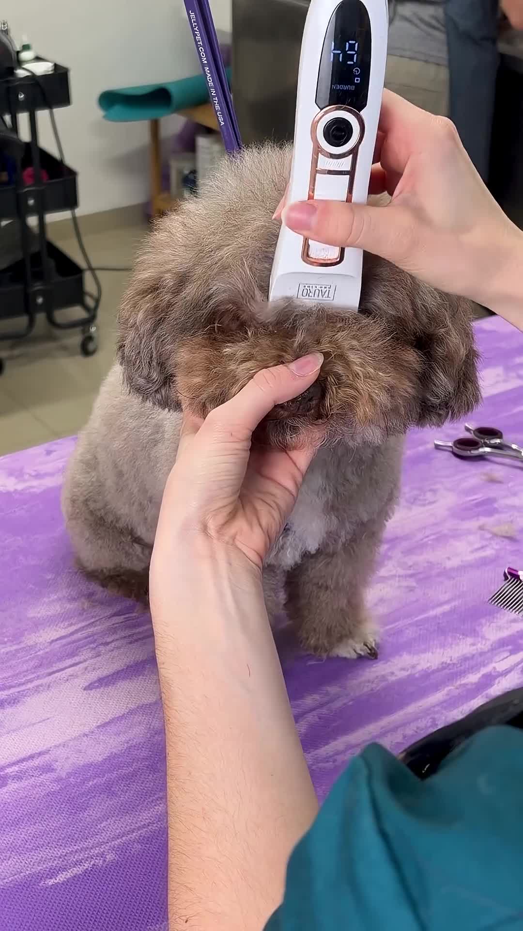 Always a good time with Lady Nisa