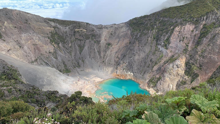 NASA finds trees signal volcano unrest before eruptions
