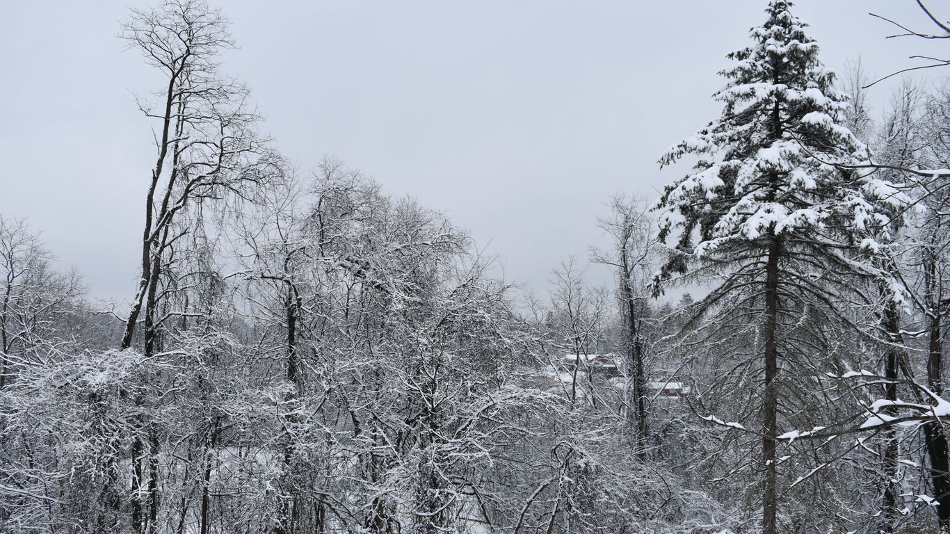 Pittsburgh looks great in the season's first snow
