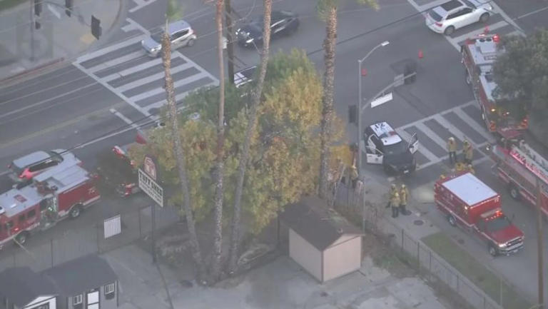 Tree trimmer fatally impaled on iron fence after 35-foot fall in LA