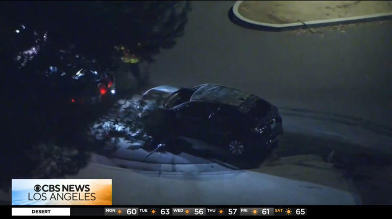 California couple gunned down inside garage of $1.3M home were killed ...