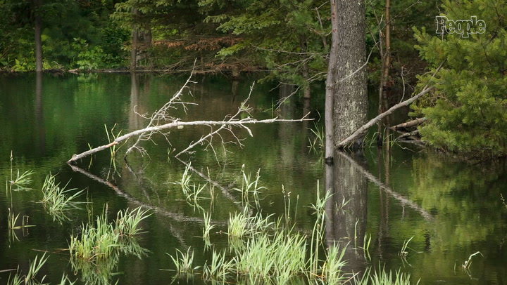 Skeletal Remains Found in Drained Swamp Nearly 35 Years Ago Identified ...