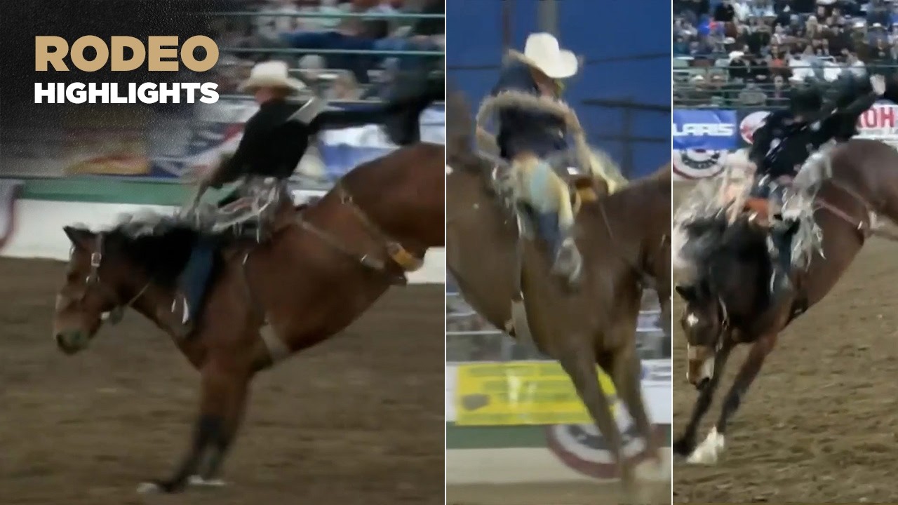 How these riders stay on a 1,200-pound horse for 8 seconds of chaos