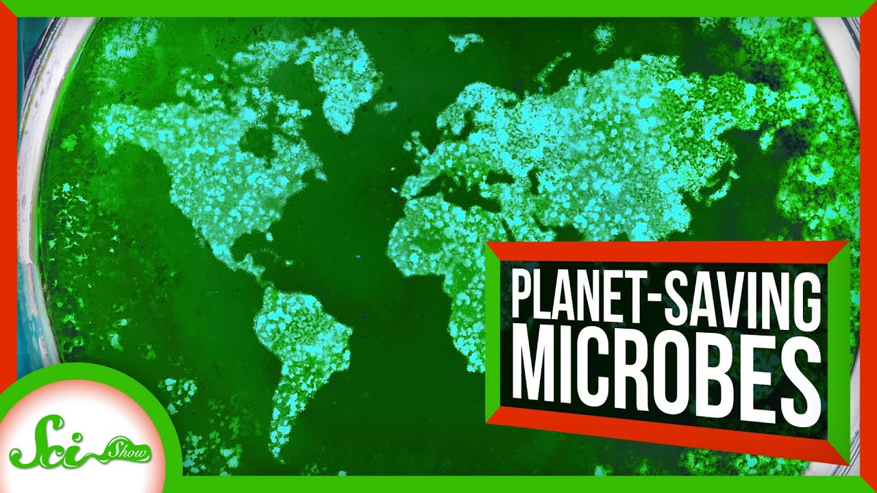 6 microbes saving the environment