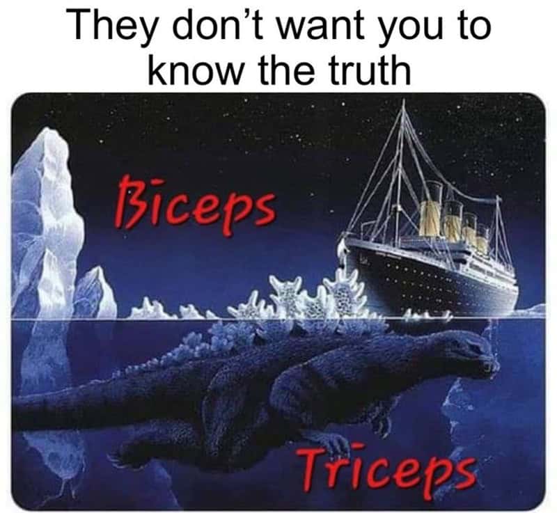 30 Pre-Workout Fueled Gym Memes That’ll Have You Shaking Like The ...