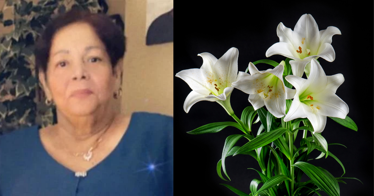 Nilda Virella-Rivera, 81, of Racine - Obituary