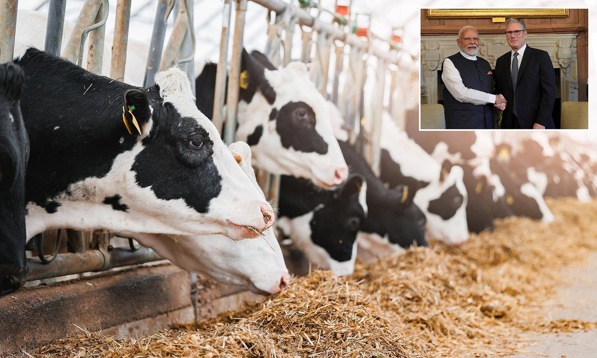 NFU boss lashes out at Labour for 'sacrificing' Britain's dairy sector ...