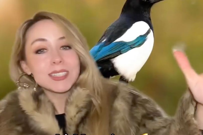 5 superstitions Irish people can't do or bad luck will haunt them