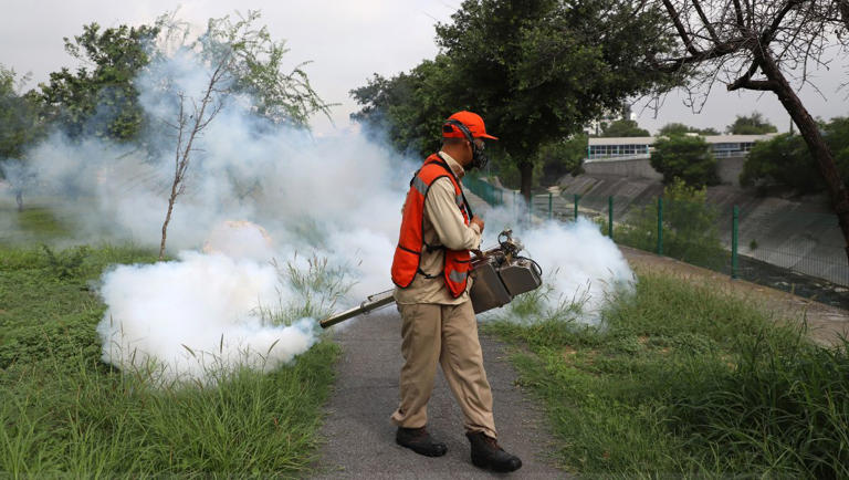 Dengue, obesidad, hipertensión y accidentes de auto, principales ...