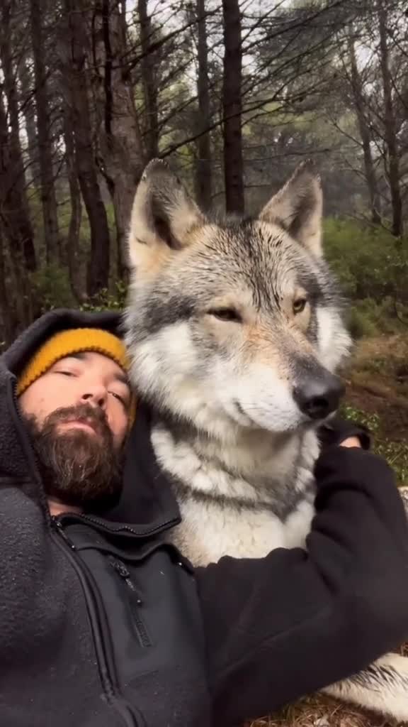 Sharing a Special Bond: Relaxing With My Wolf Friend in Nature