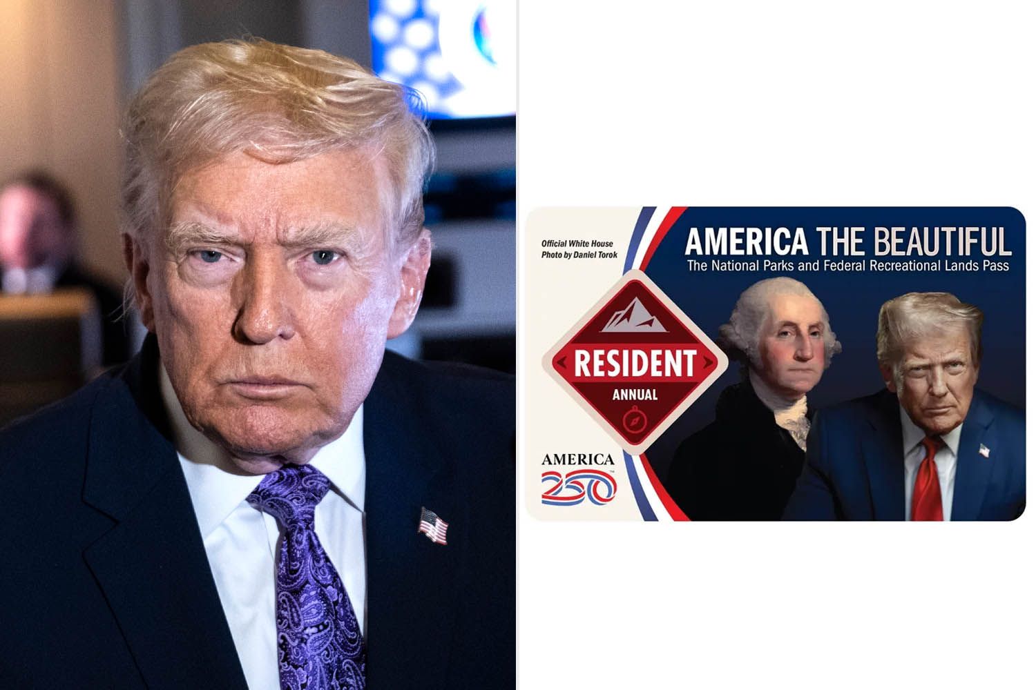 Donald Trump's Face Appears on New National Parks Passes After Attacks ...