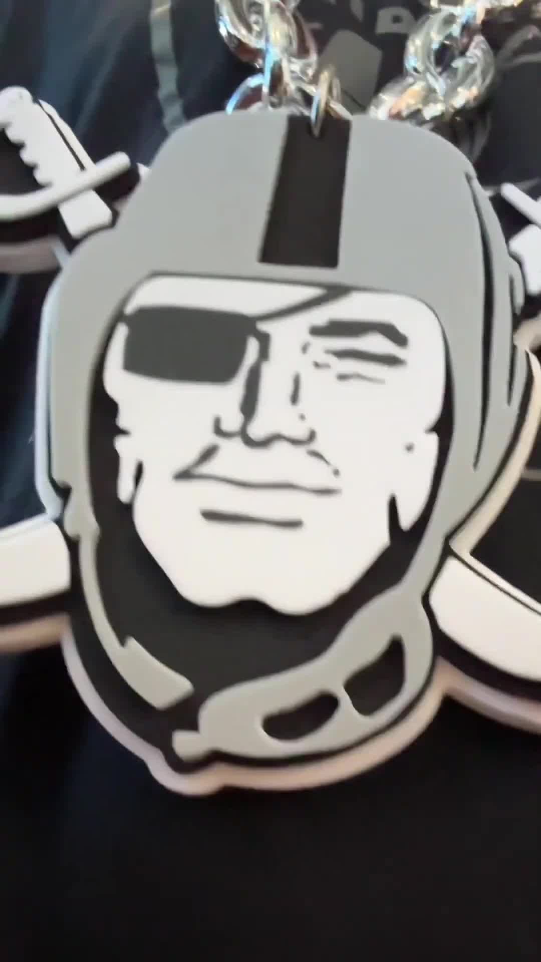 Danny does Vegas | Raiders game