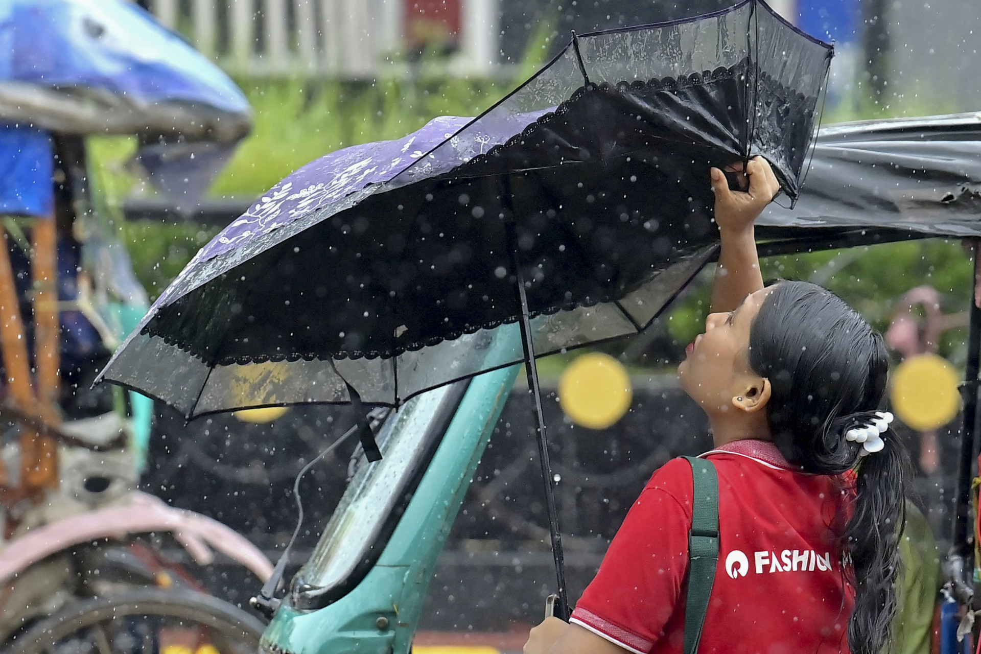 How do insects fly in the rain?