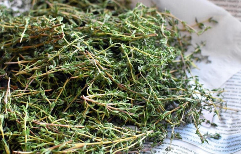 Quels sont les bienfaits du thym