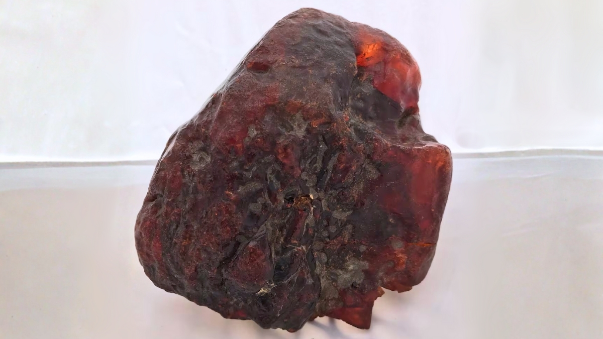 Rock used as doorstop for decades revealed to be worth over $1 million