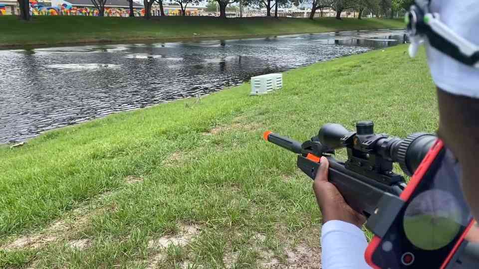 Responding to an iguana problem in the neighborhood