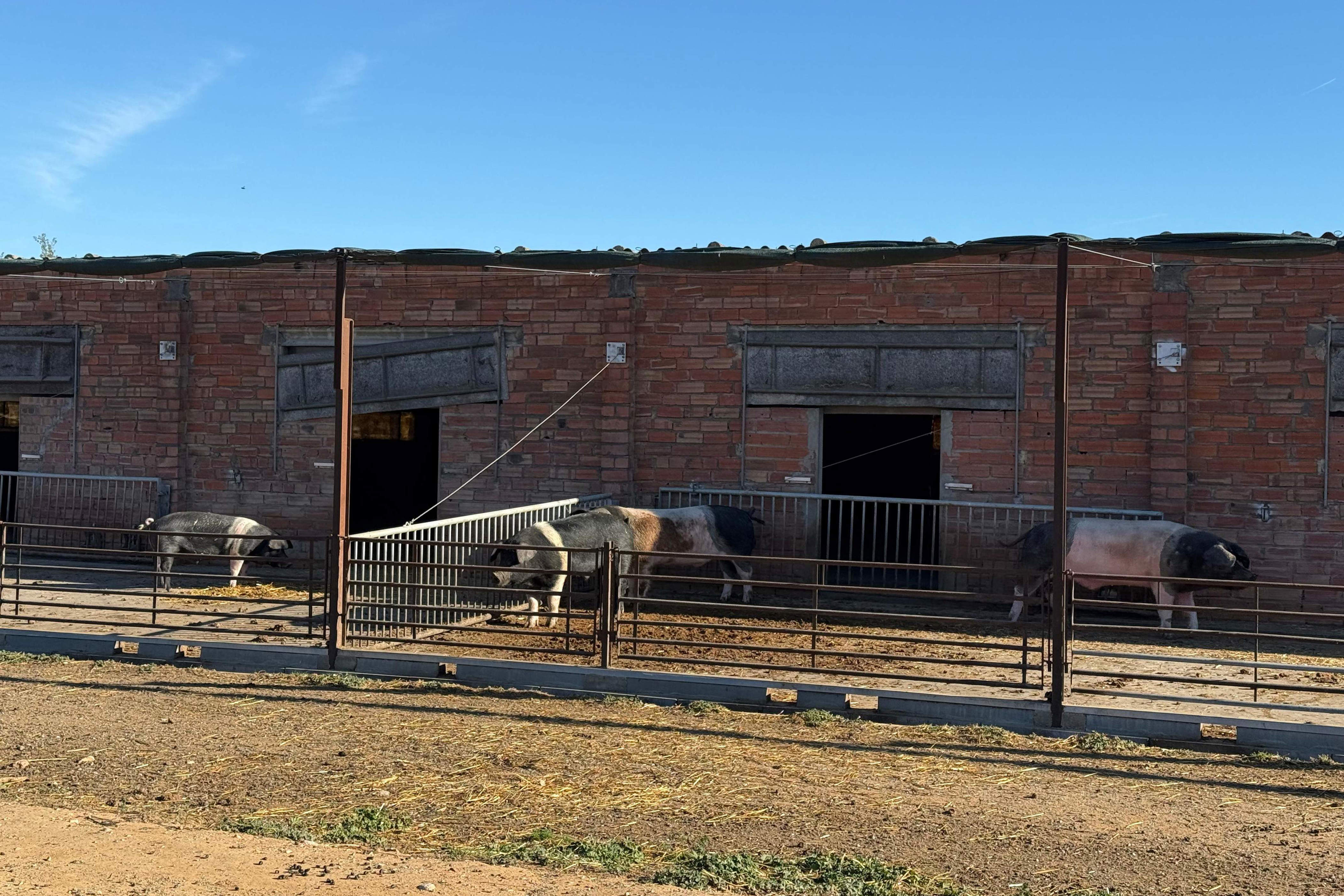 El Govern destina hasta 20 millones a mitigar el impacto económico de ...