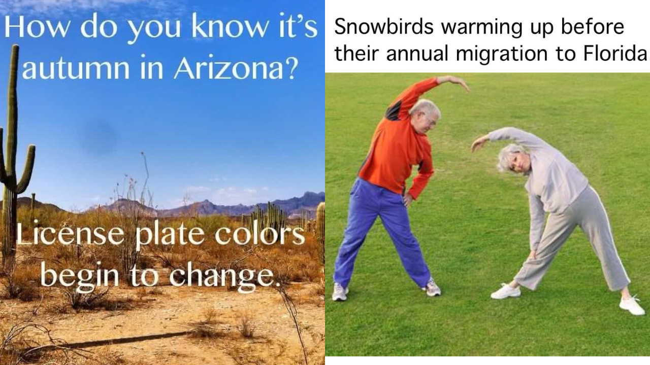 25 snowbird memes for everyone escaping winter