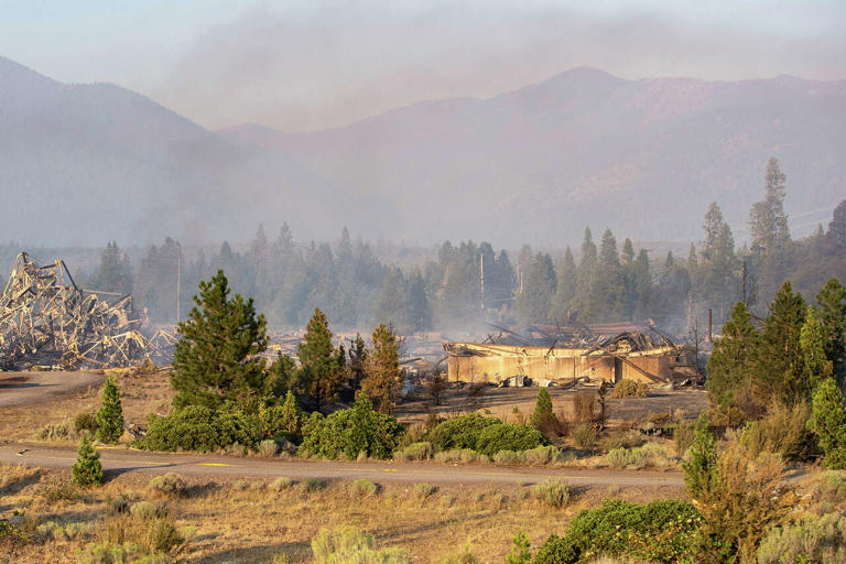 One of California's remaining lumber mills closes without warning
