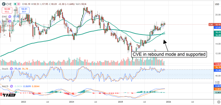 Top 5 highest-rated dividend stocks, according to MarketBeat