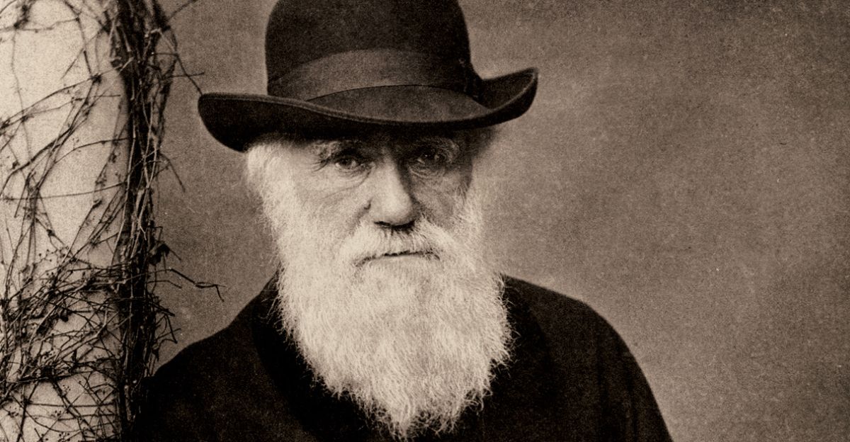 Many assume Darwin’s “survival of the fittest” means only the strongest ...
