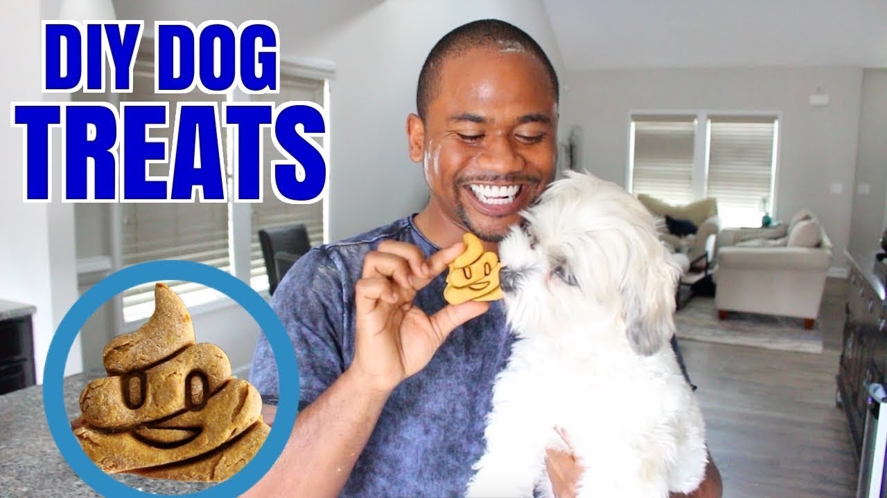 I made 4 DIY emoji treats for my dog