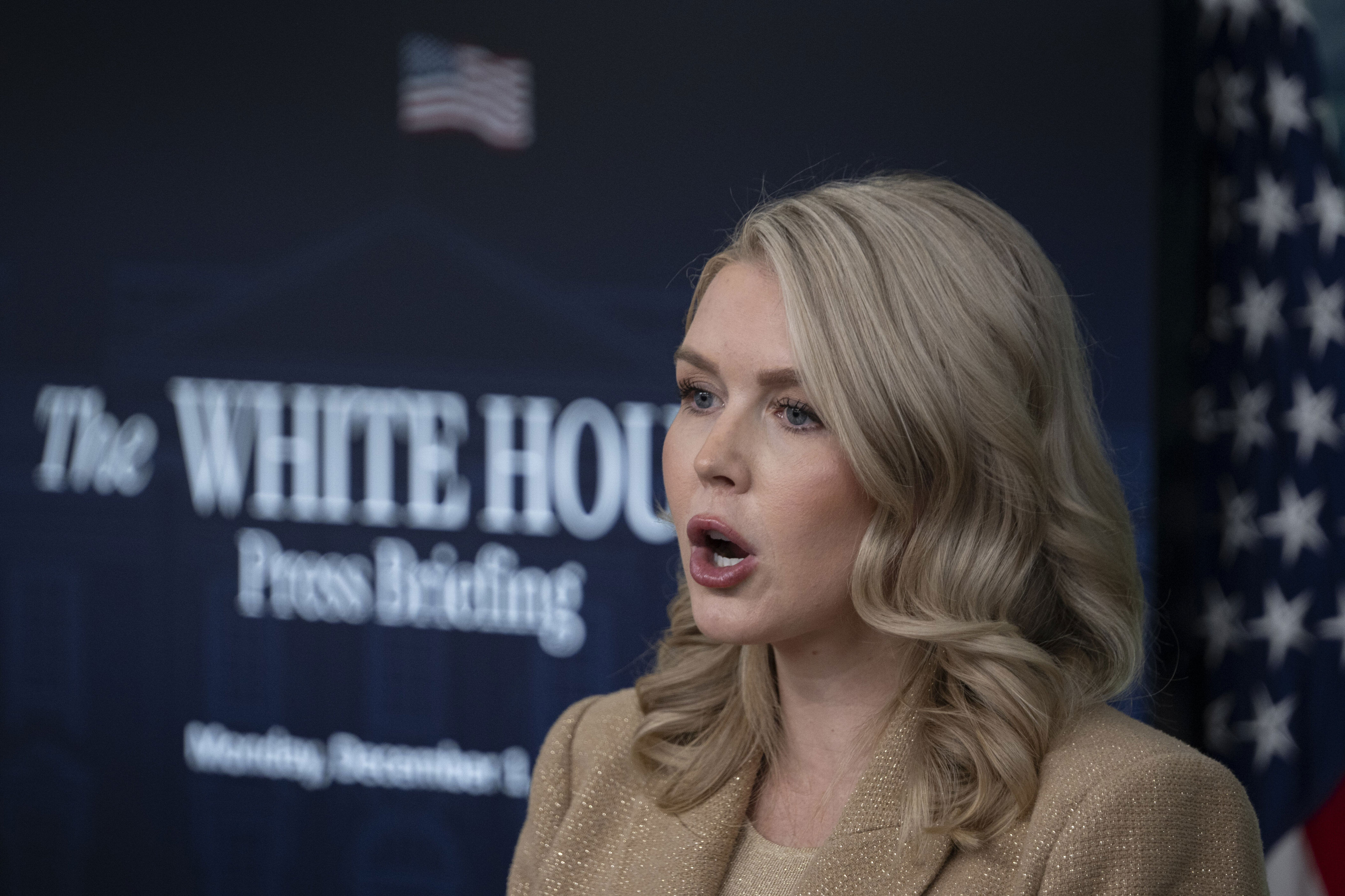 Karoline Leavitt's own family has been detained by ICE, and they are ...