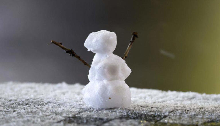 Who got snow on Monday? Here's where flakes fell in the Triangle