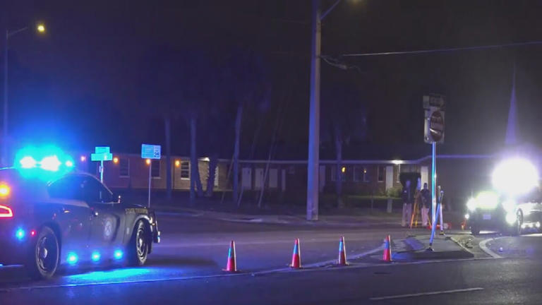Hit-and-run driver sought in deadly Pine Hills crash