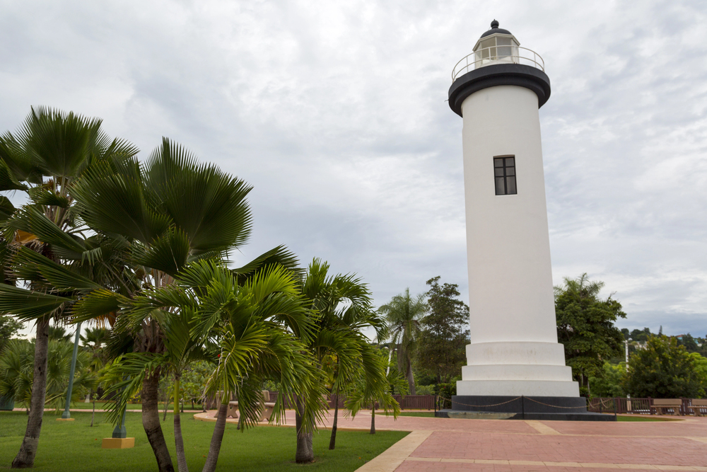 Best things to do in Rincon, Puerto Rico