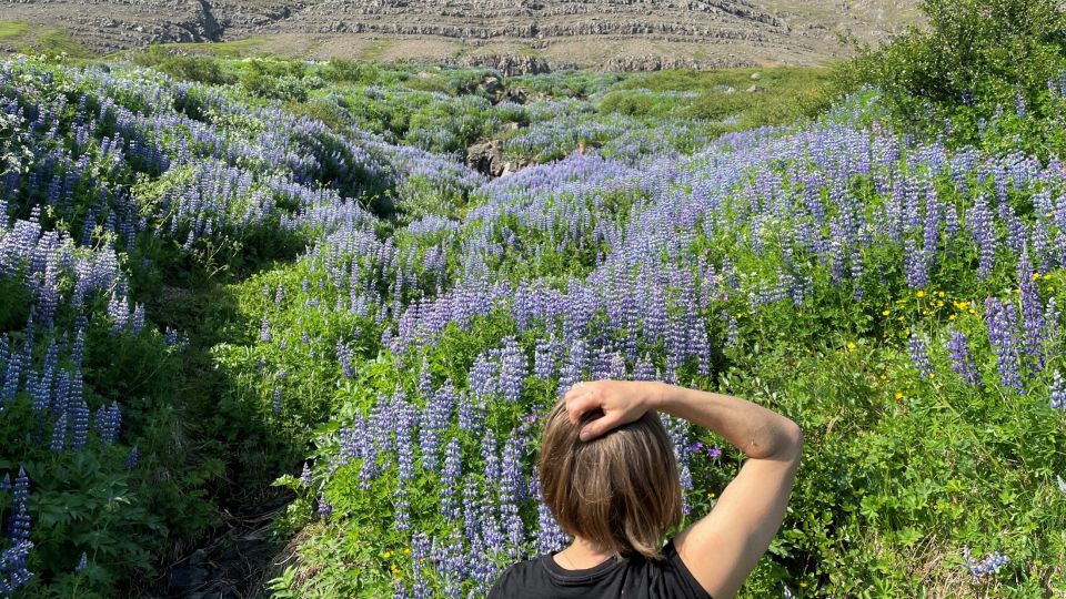 Iceland’s big problem with Instagrammable flowers