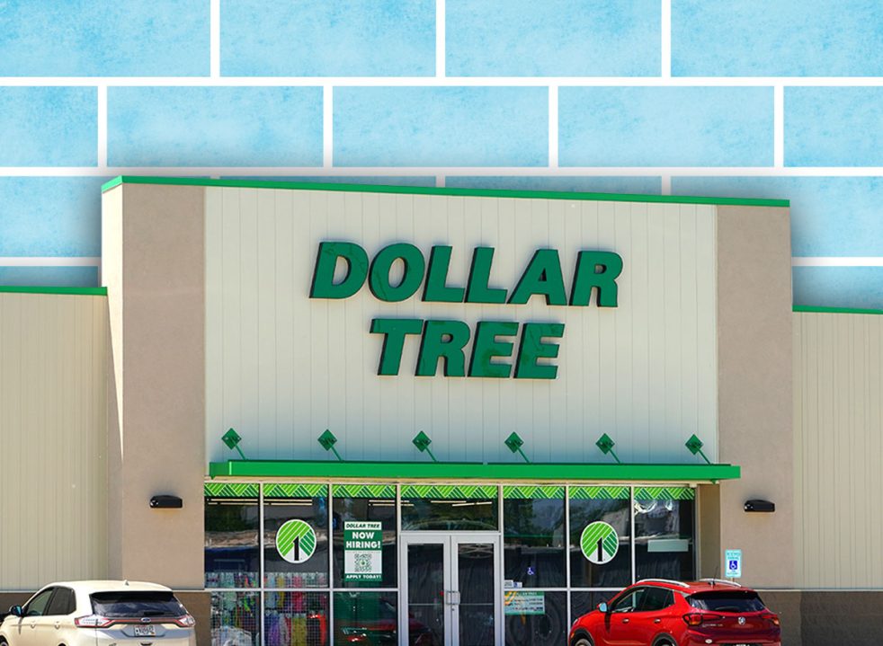 7 best new Dollar Tree home finds hitting shelves this week