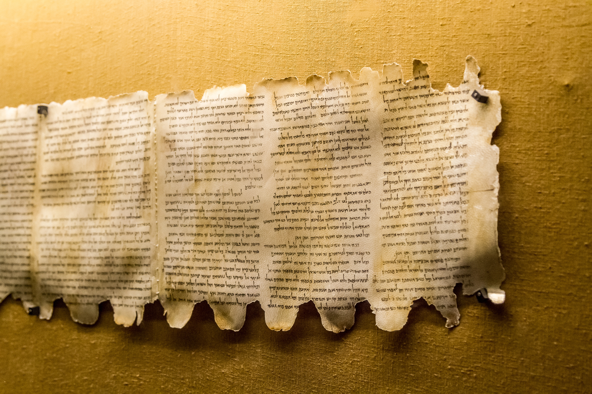Cave discoveries that rewrote history