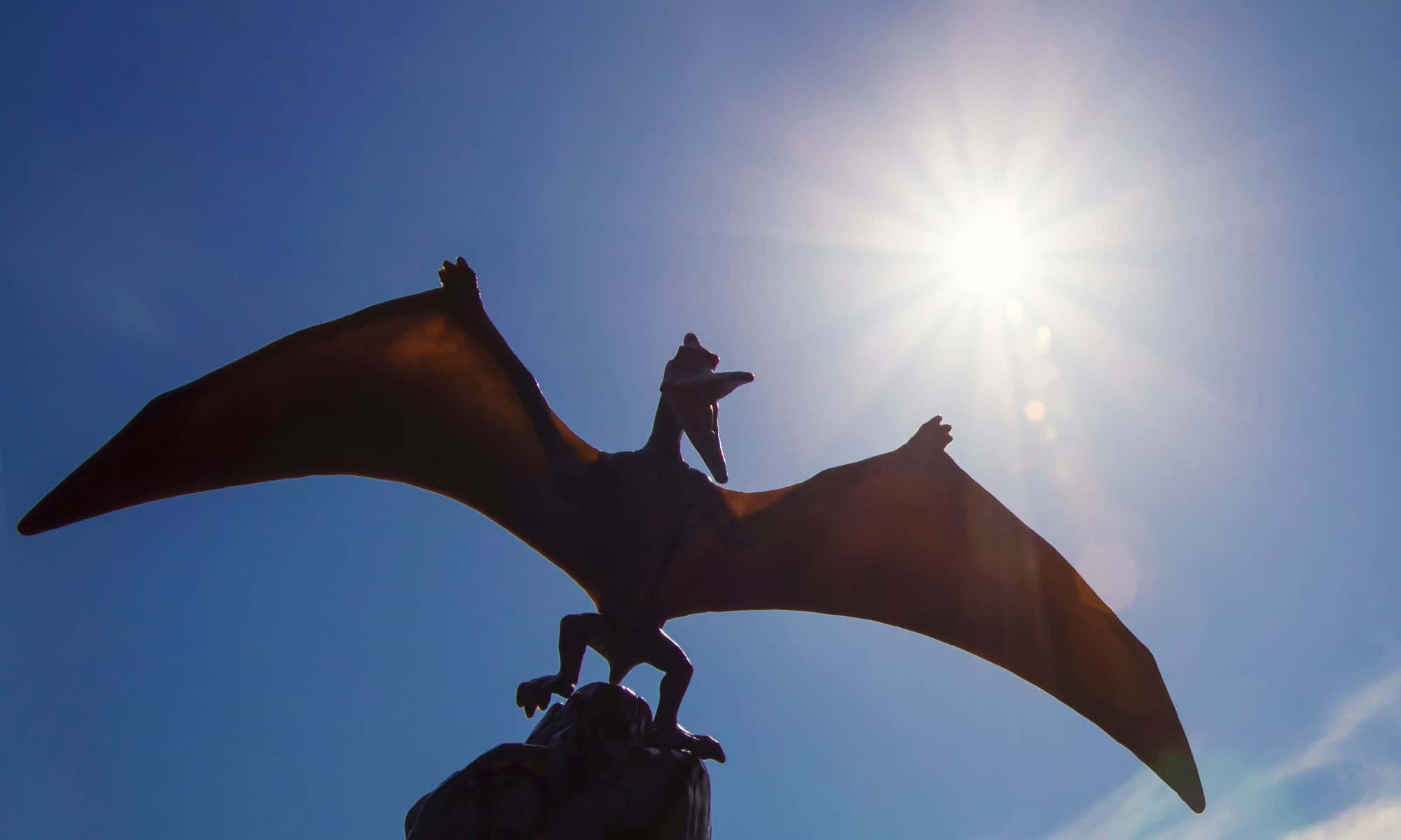 There was once a giant flying reptile the size of an airplane
