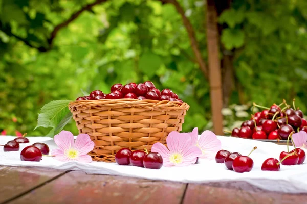 Reasons to visit scenic Door County, WI