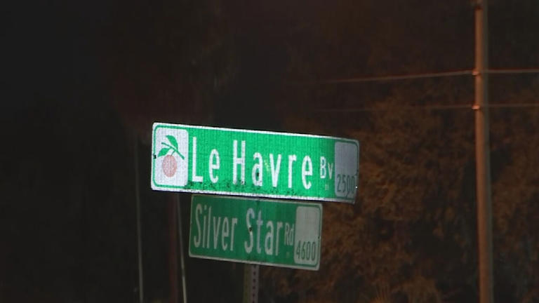 Hit-and-run driver sought in deadly Pine Hills crash