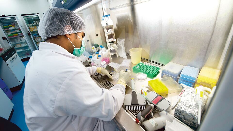 Nephrocare Health Services IPO: ₹871 crore issue opens tomorrow: 10 key ...