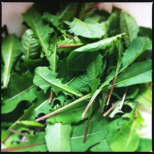 Appalachian foodways: The overlooked cuisine historians are finally ...