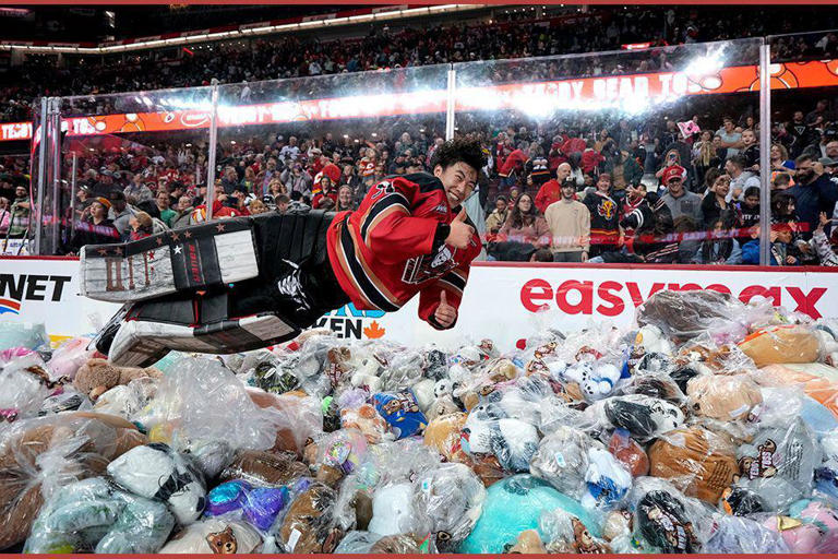 In pictures: Sporting photos of the week