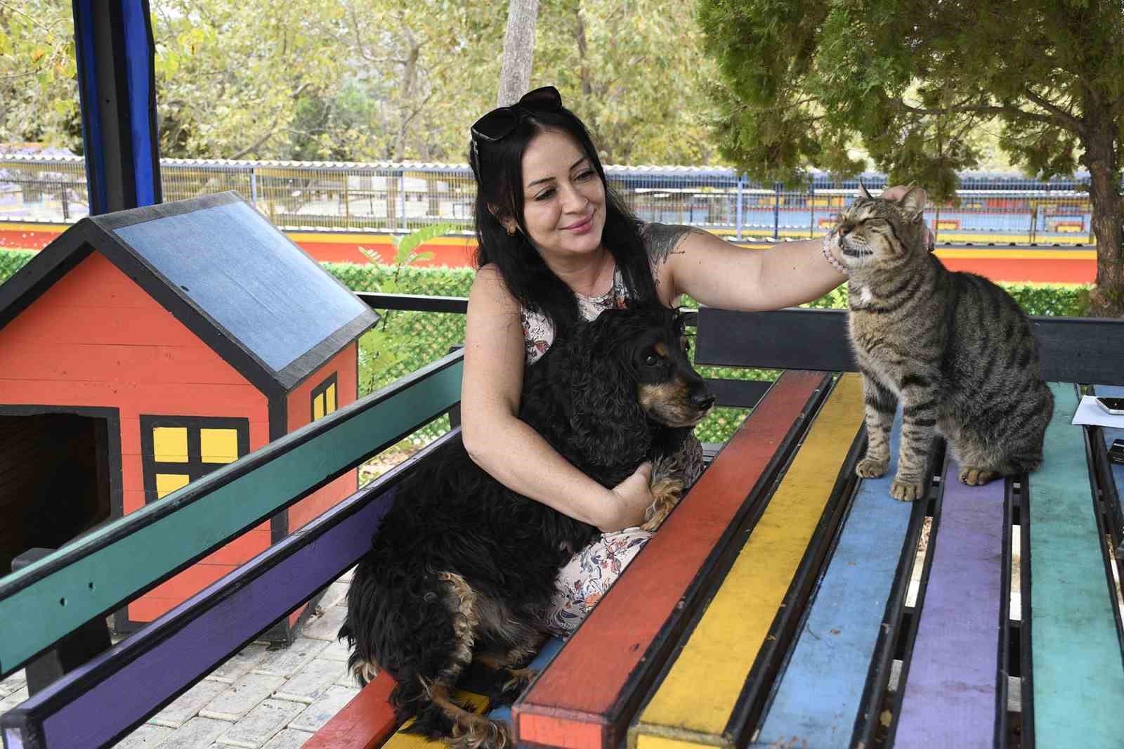 Kuşadası Belediyesi Veteriner İşleri Müdürlüğü’nden mikroçip taktırın ...