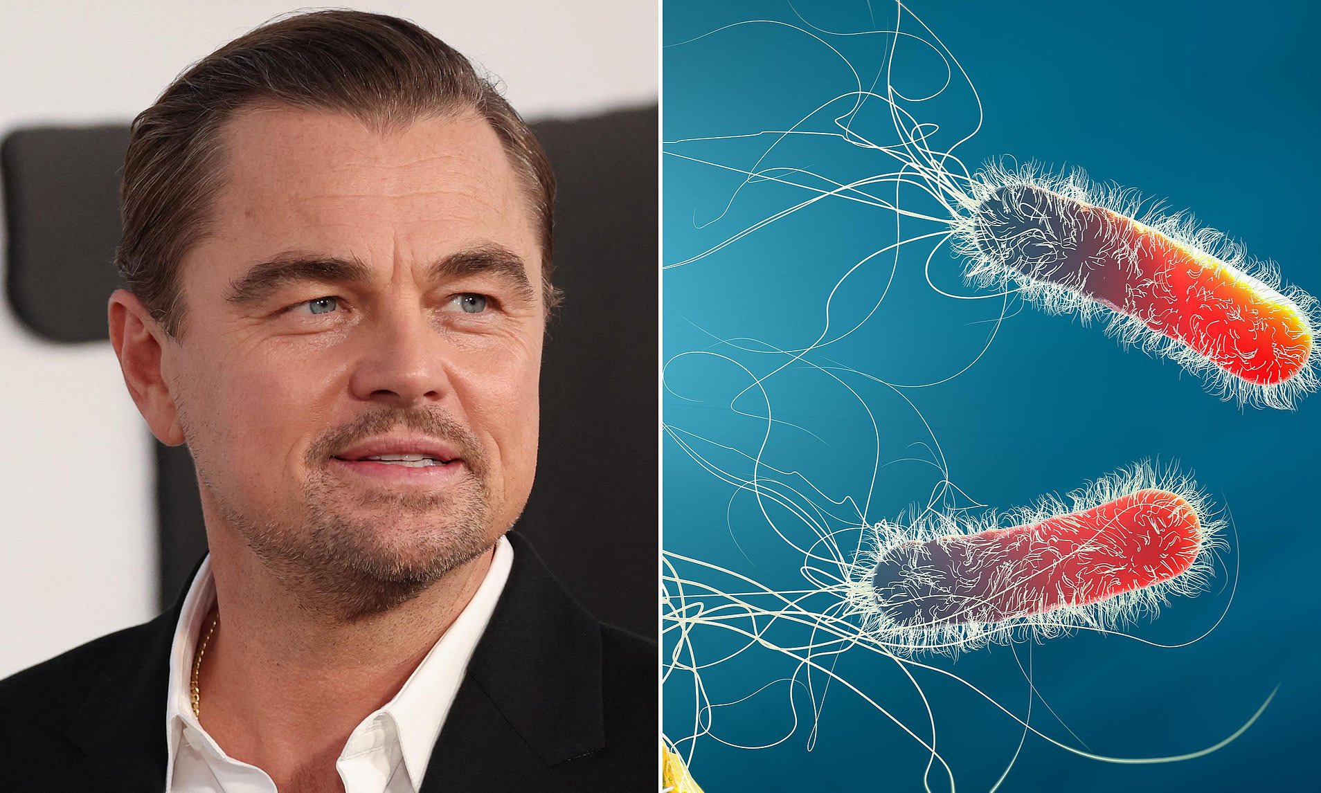 As Leonardo DiCaprio reveals secret pneumonia battle, experts explain ...