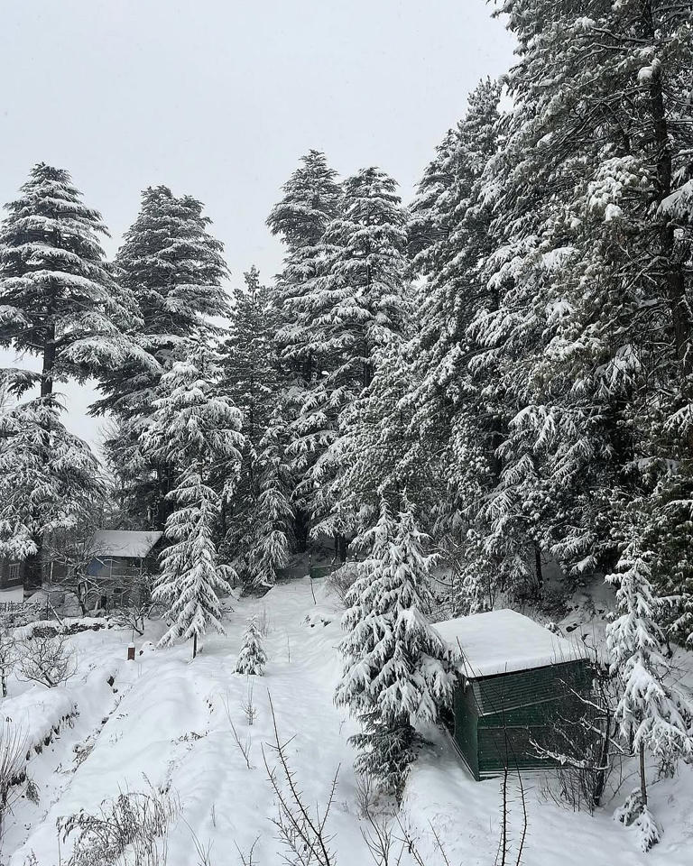 Christmas 2025 in India: Top 8 town destinations you shouldn’t miss